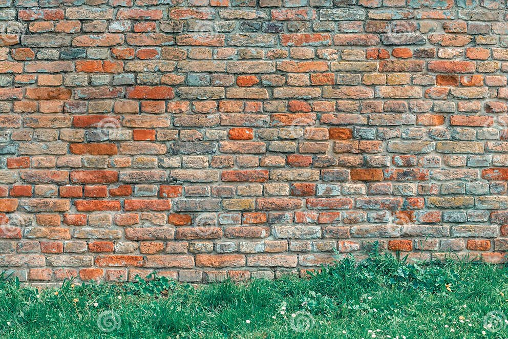 Rustic Brick Wall and Spring Grass As Background Stock Photo - Image of ...