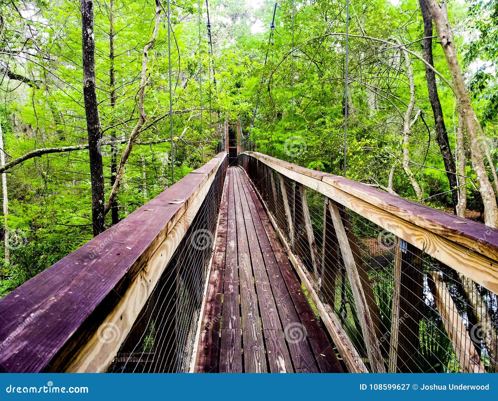 Rustic Bridge stock image. Image of wooden, nature, bridge - 108599627