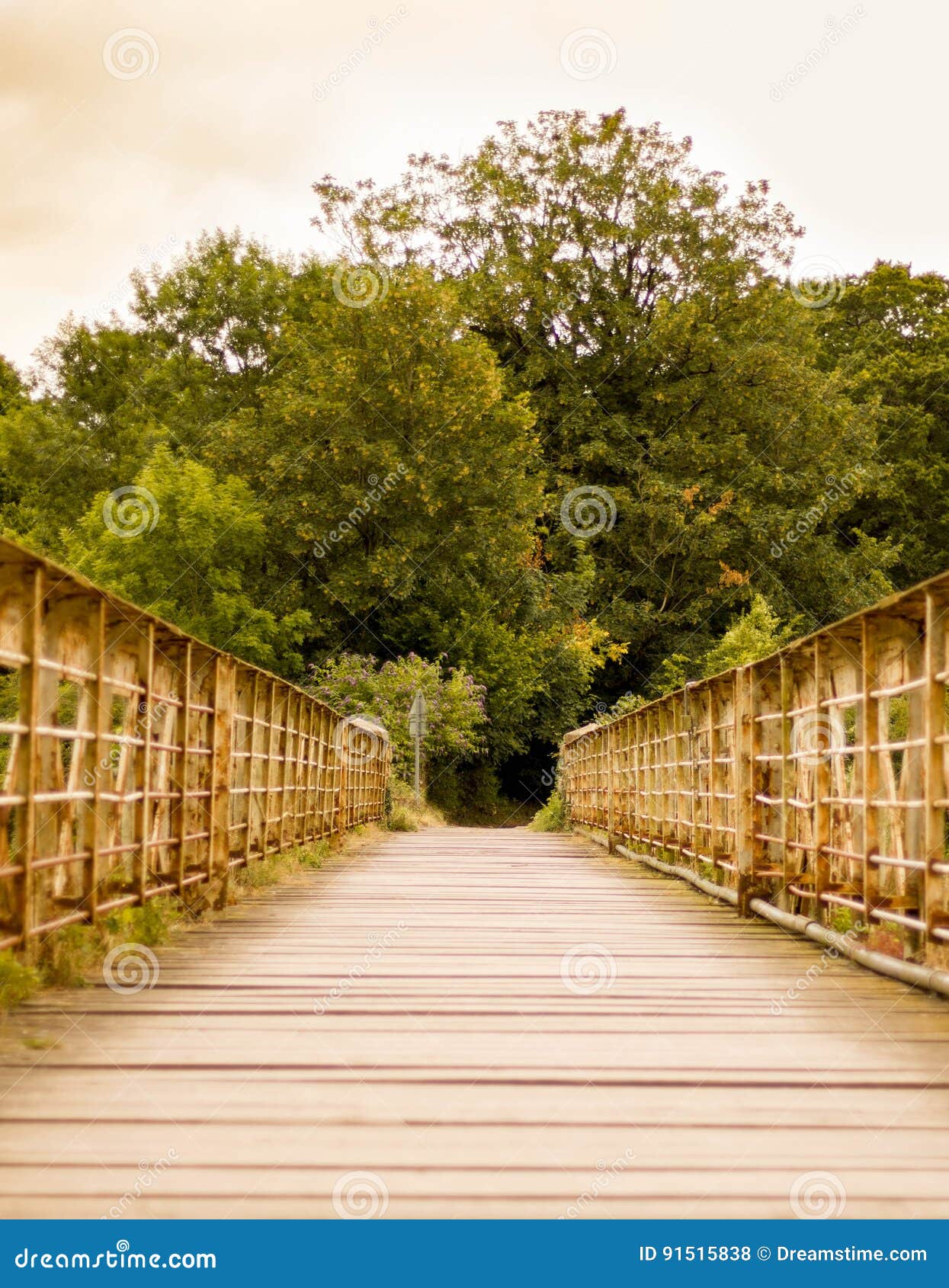 A Rustic Bridge stock photo. Image of rustic, green, outdoor - 91515838