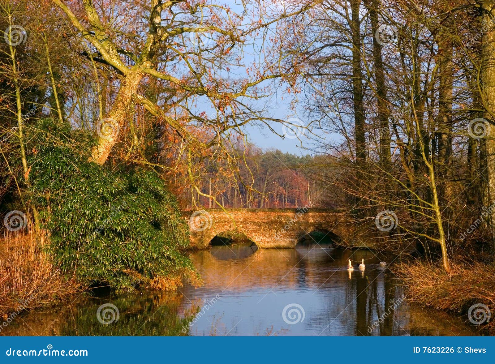 Rustic bridge with water stock photo. Image of winter - 7623226