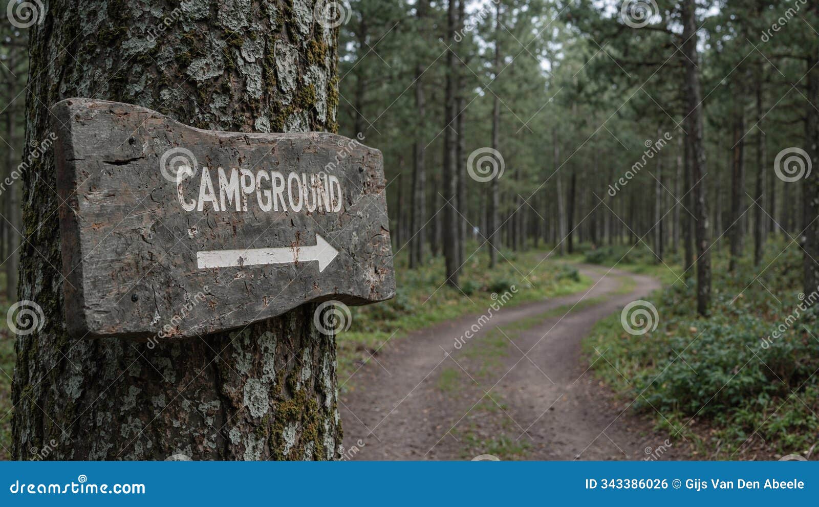 Rustic Campground Sign On Tree In Mossy Forest Arrow Pointing Down ...