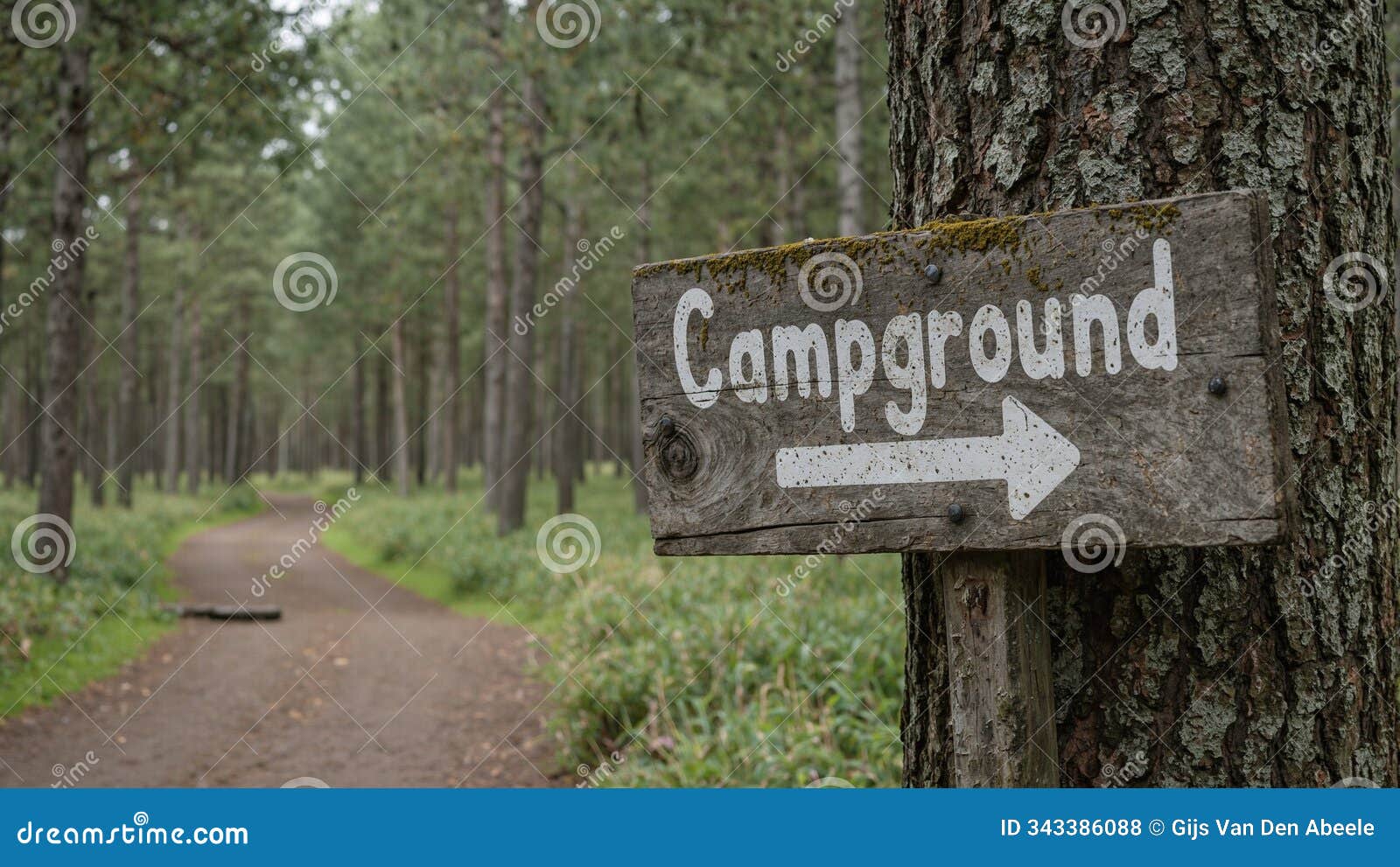 Rustic Campground Sign On Tree In Mossy Forest Arrow Pointing Down ...