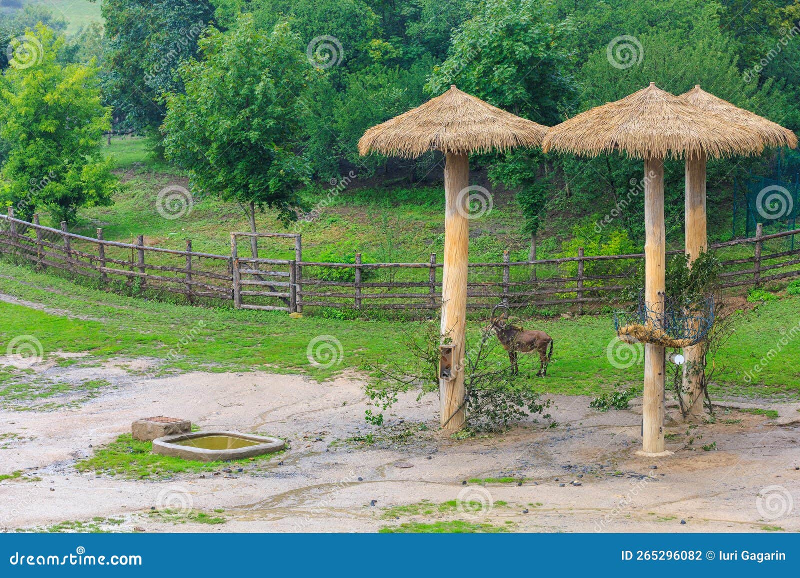Rustic Canopies from the Rain. Background with Selective Focus Stock ...