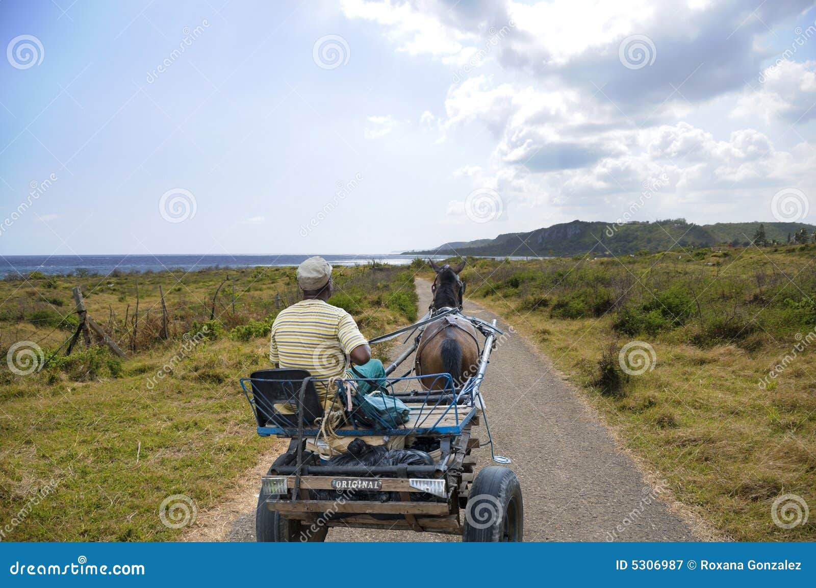 Old Rustic Carriage In Front Of Fence In Backyard Stock Photography ...