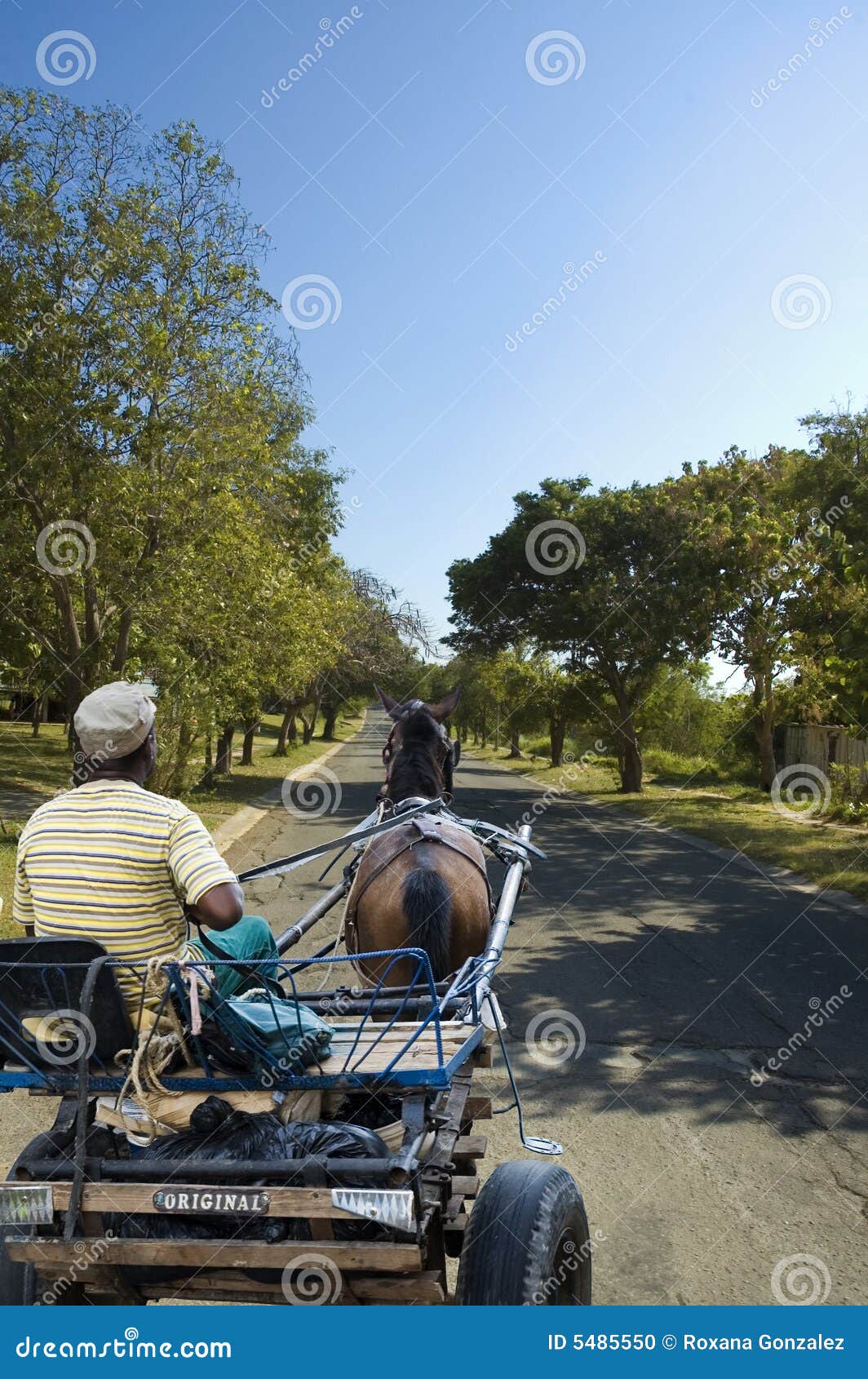 Old Rustic Carriage In Front Of Fence In Backyard Stock Photography ...