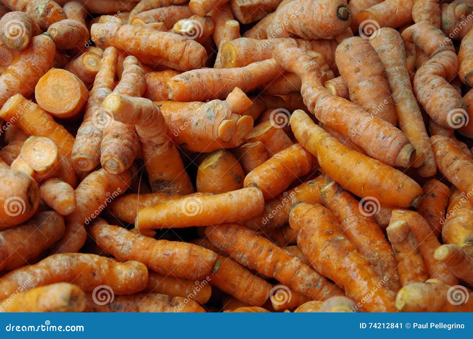 Rustic Carrots Piled Detail Stock Image - Image of background, orange ...