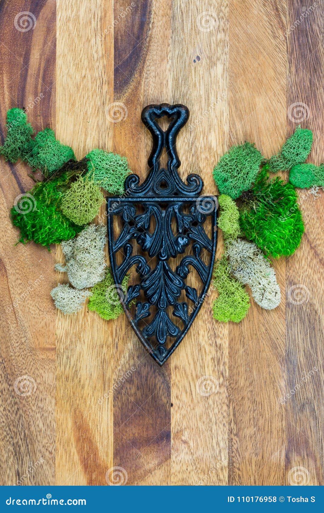 Rustic Cast Iron and Moss with Wooden Background Stock Photo - Image of ...