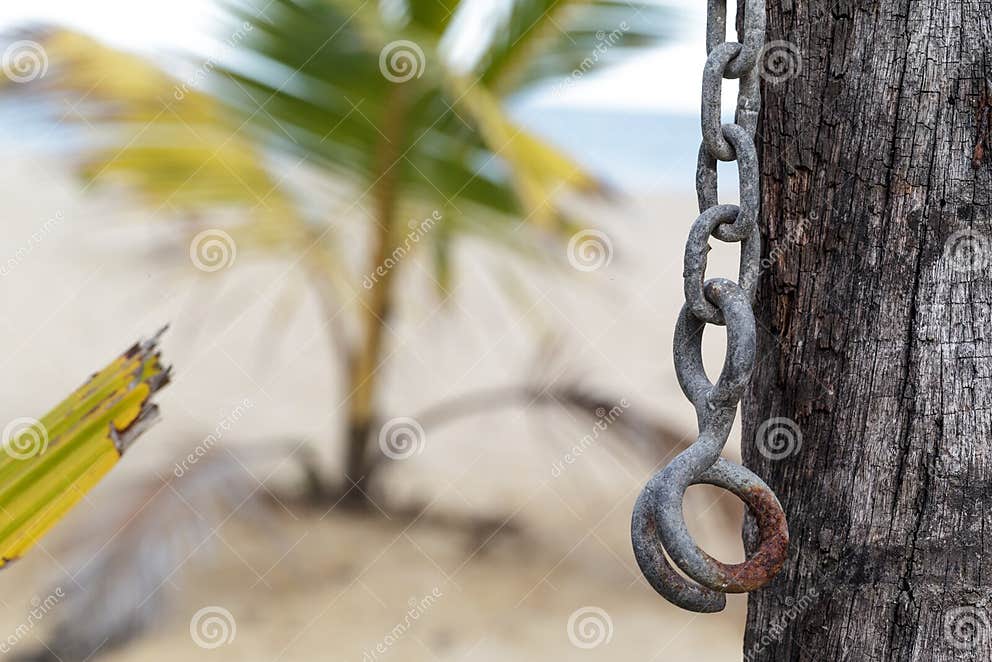 Rustic Chain and Wooden Texture, Empty Soft Wood Background Stock Photo ...