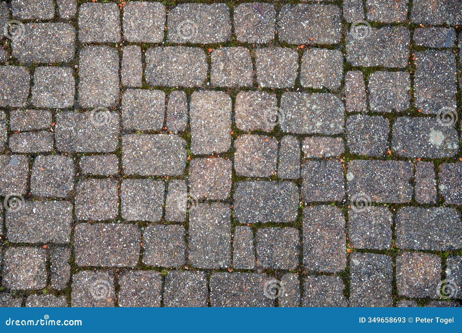 Rustic Cobblestone Path Texture in a Park - Natural Stone Background ...