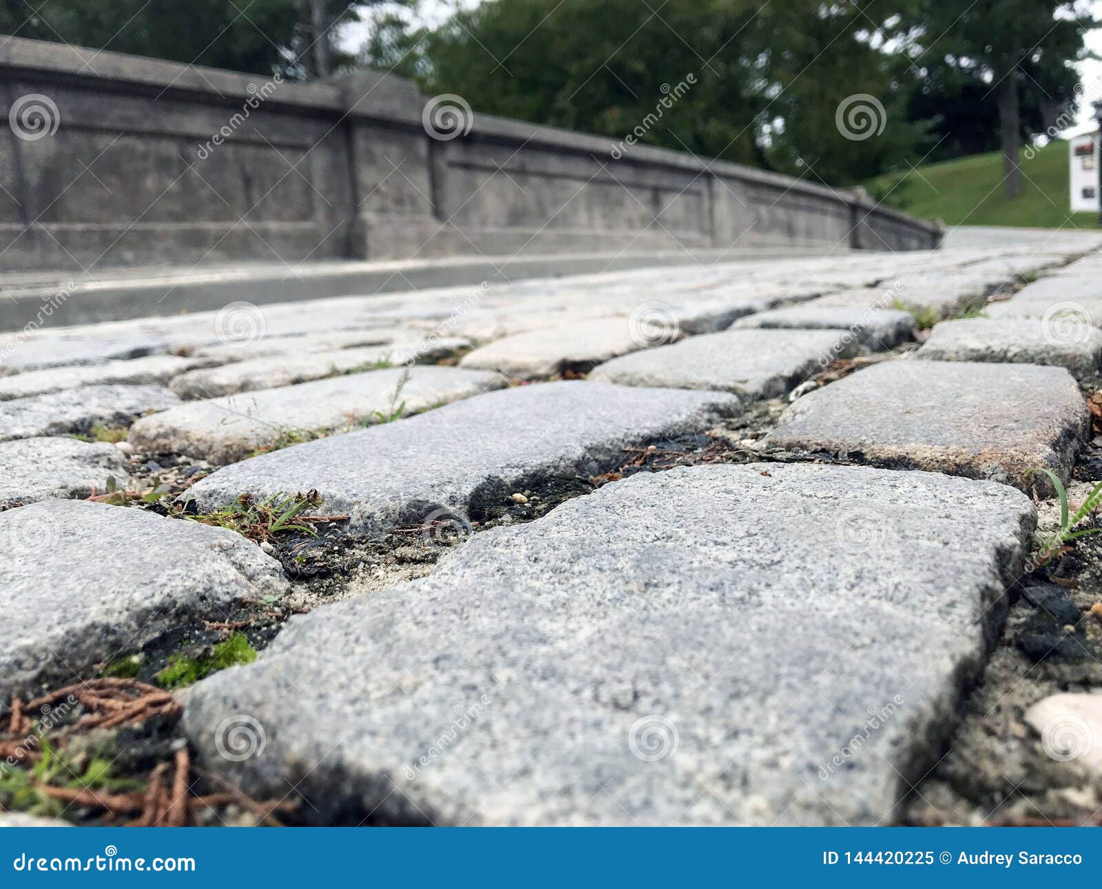 Rustic Cobblestone Stepping Stone Stock Image - Image of black, pattern ...