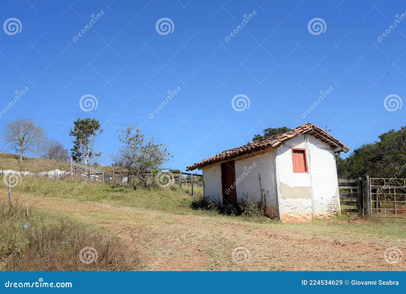 Rustic Colonial House on a Typical Rural Farm in Brazil Stock Image ...