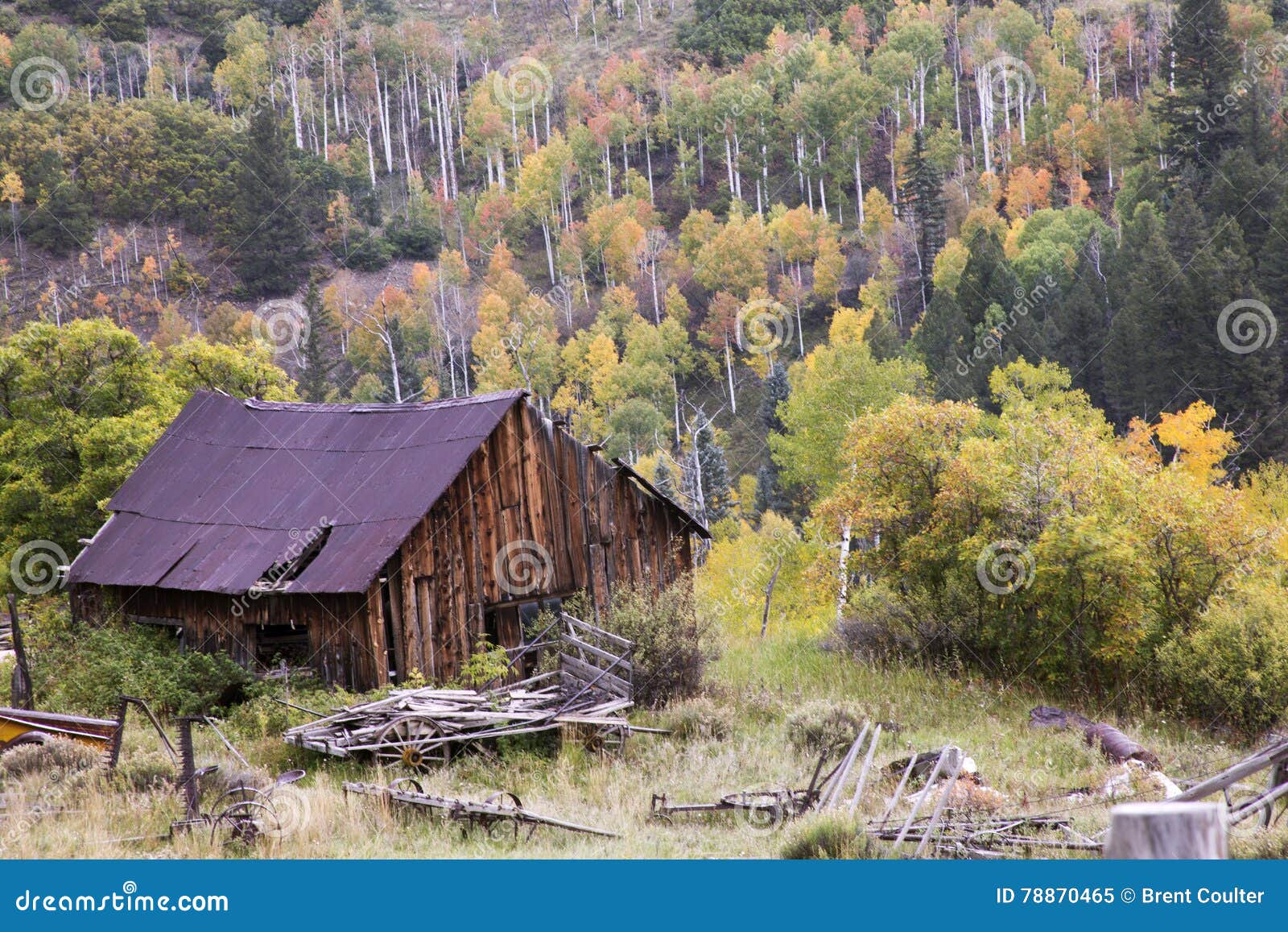 Rustic Colorado Barn stock image. Image of tree, colorado - 78870465