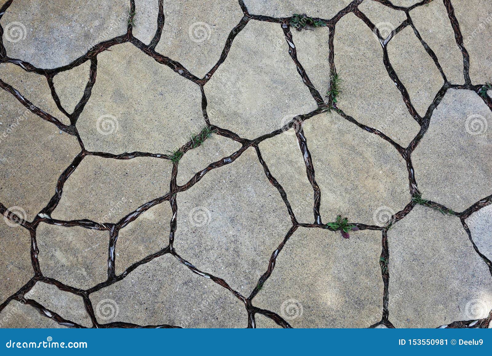 Rustic Concrete Block Pavement Background Stock Image - Image of ...