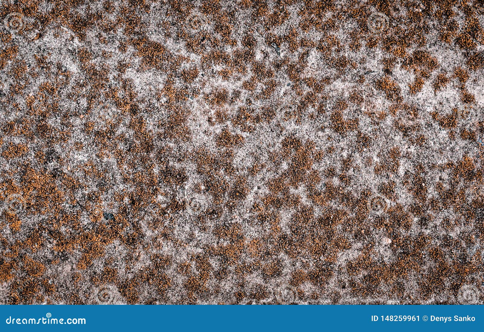 Rustic Concrete Texture with Lichen and Mold. Wallpaper of Old Stone ...