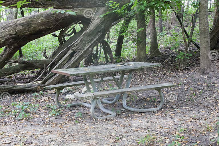 Rustic Forest Picnic Table stock photo. Image of picnic - 122741140