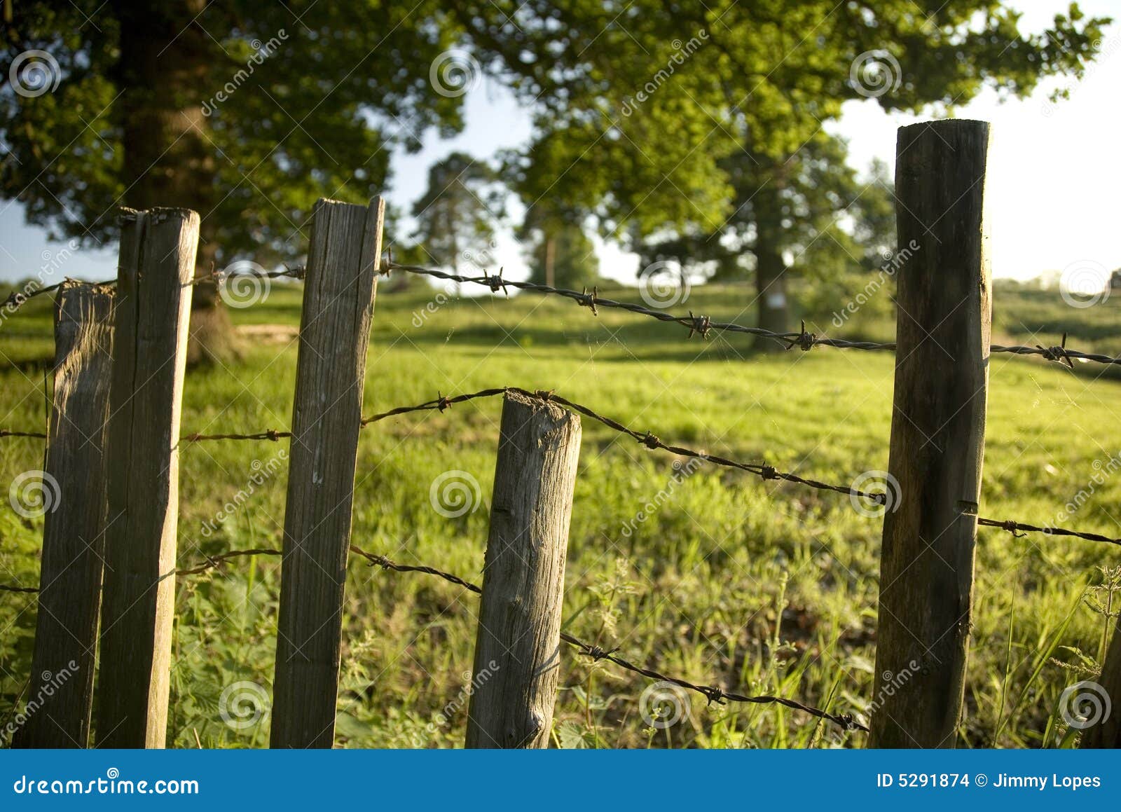 Rustic Countryside Fence stock photo. Image of boundary - 5291874