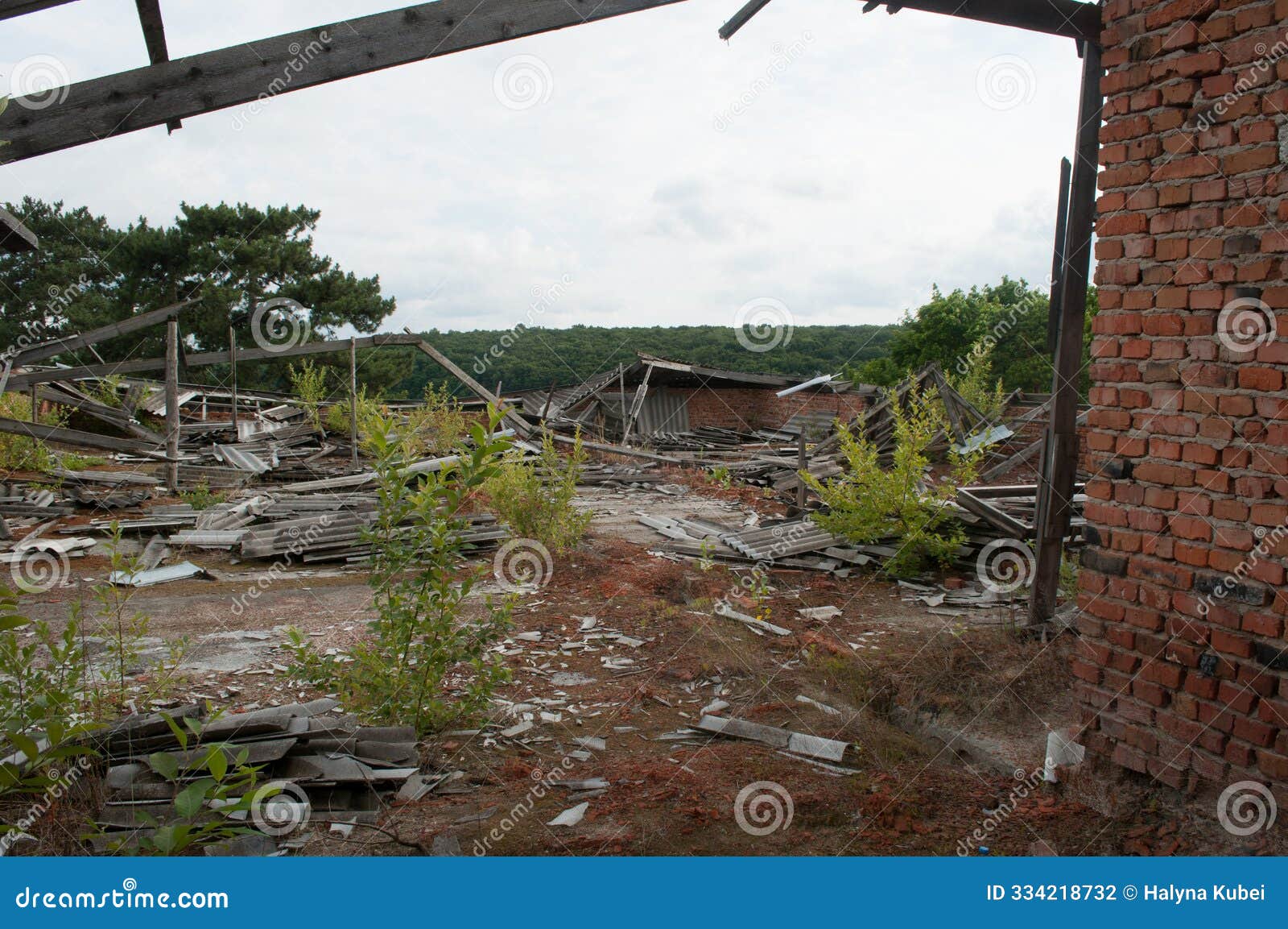 Rustic Decay Amidst Overgrown Ruins in Verdant Wilderness Stock Photo ... Rustic Decay Amidst Overgrown Ruins in Verdant Wilderness Stock Photo ...