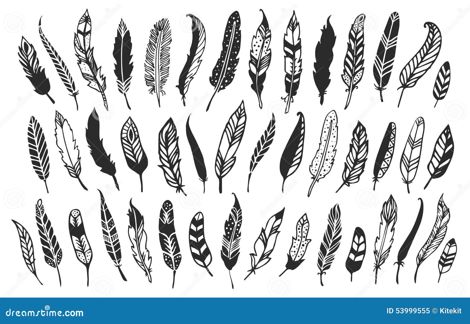 Rustic Decorative Feathers. Hand Drawn Vintage Vector Design Stock Vector - Illustration of ...