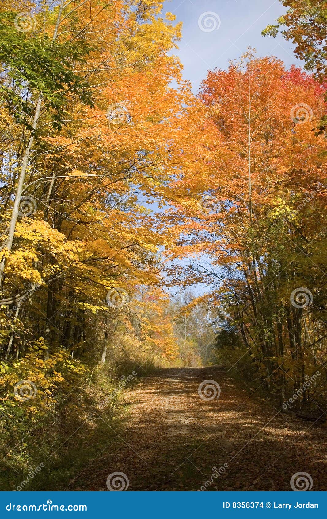 Rustic Dirt Road in Autumn stock photo. Image of empty - 8358374