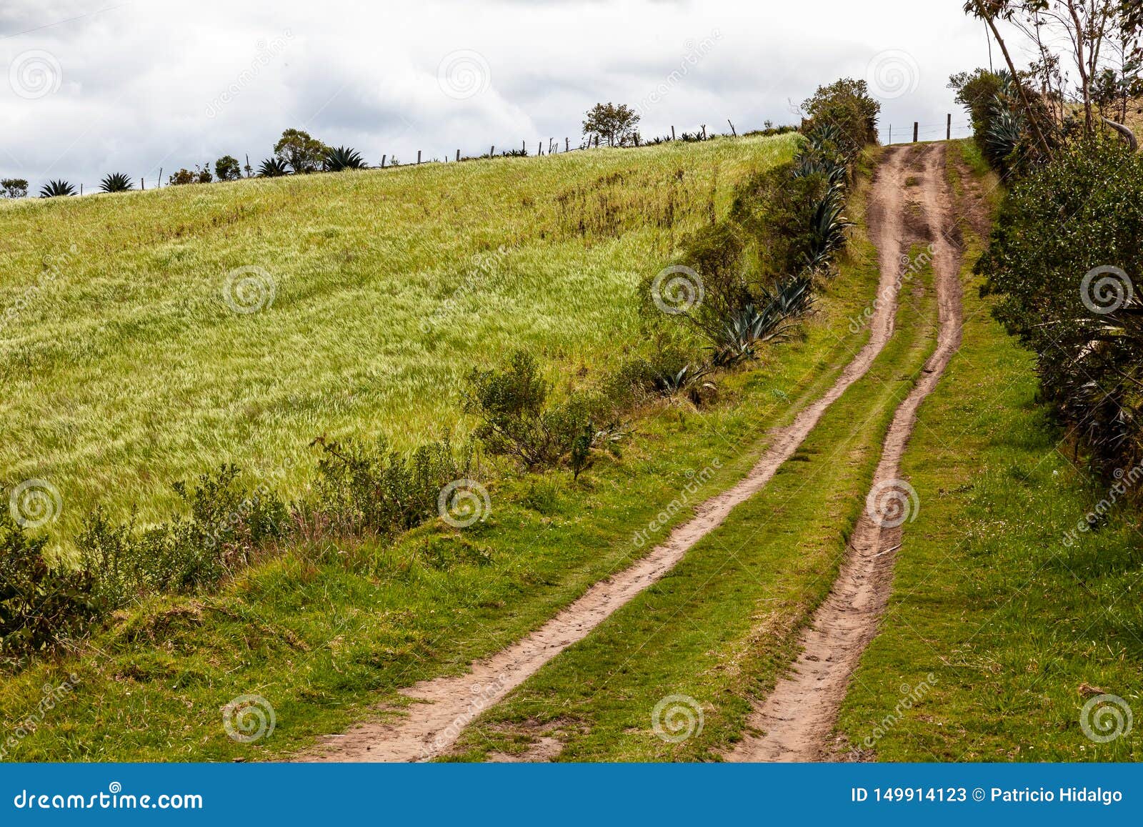 Rustic dirt road stock image. Image of farmhouse, rustic - 149914123
