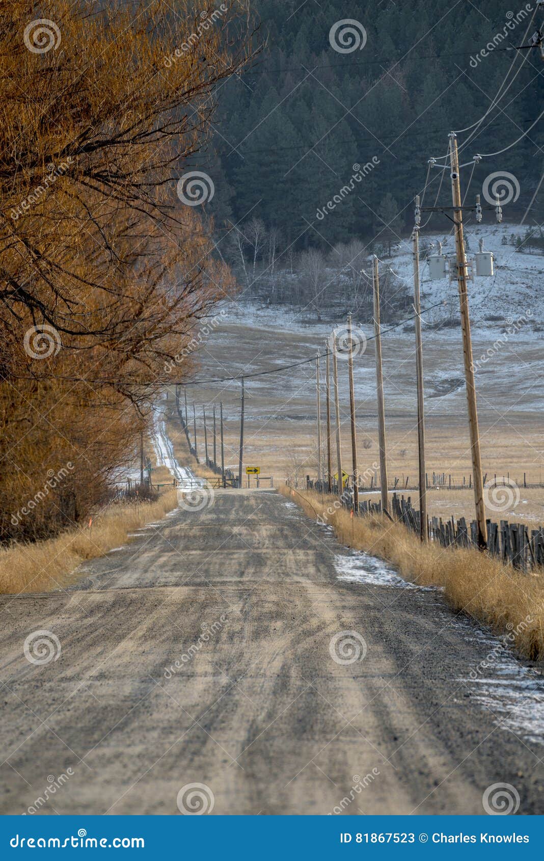 Rustic Dirt Road Leads through the Country Stock Image - Image of ...