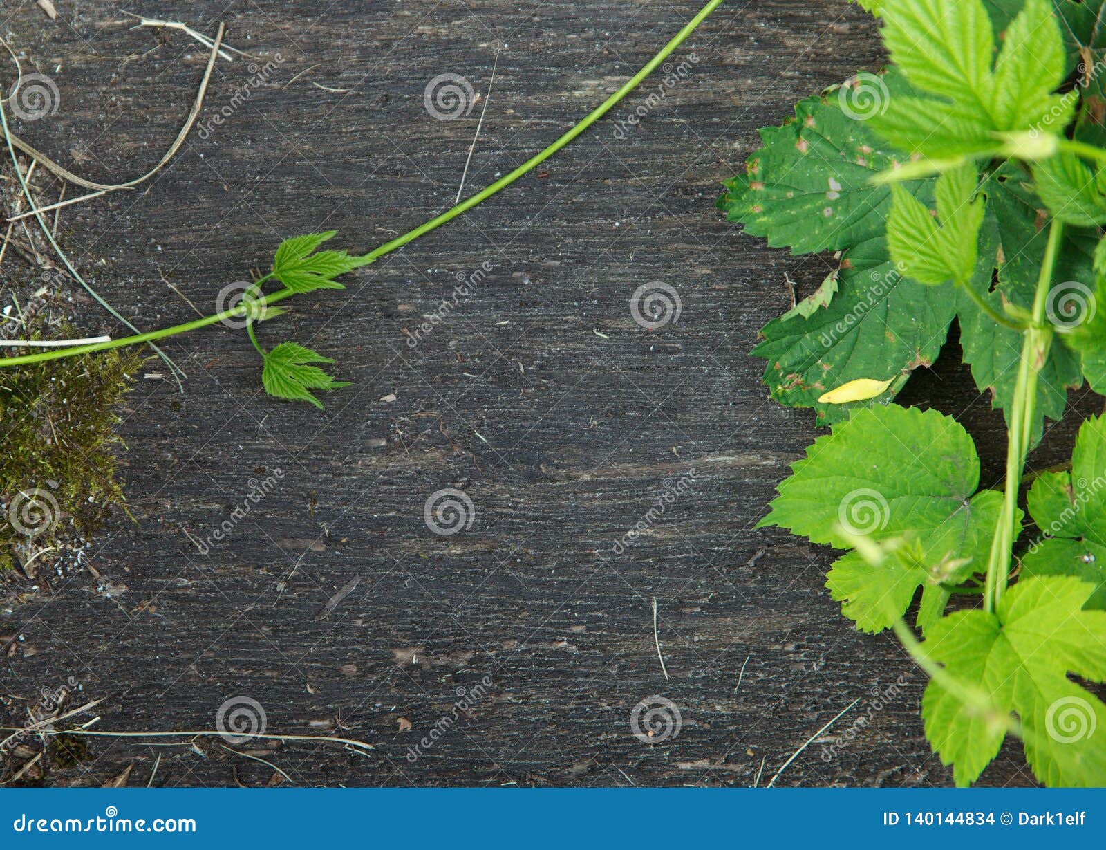 Rustic Ecologic Natural Background, Dark Grey and White Old Aged ...