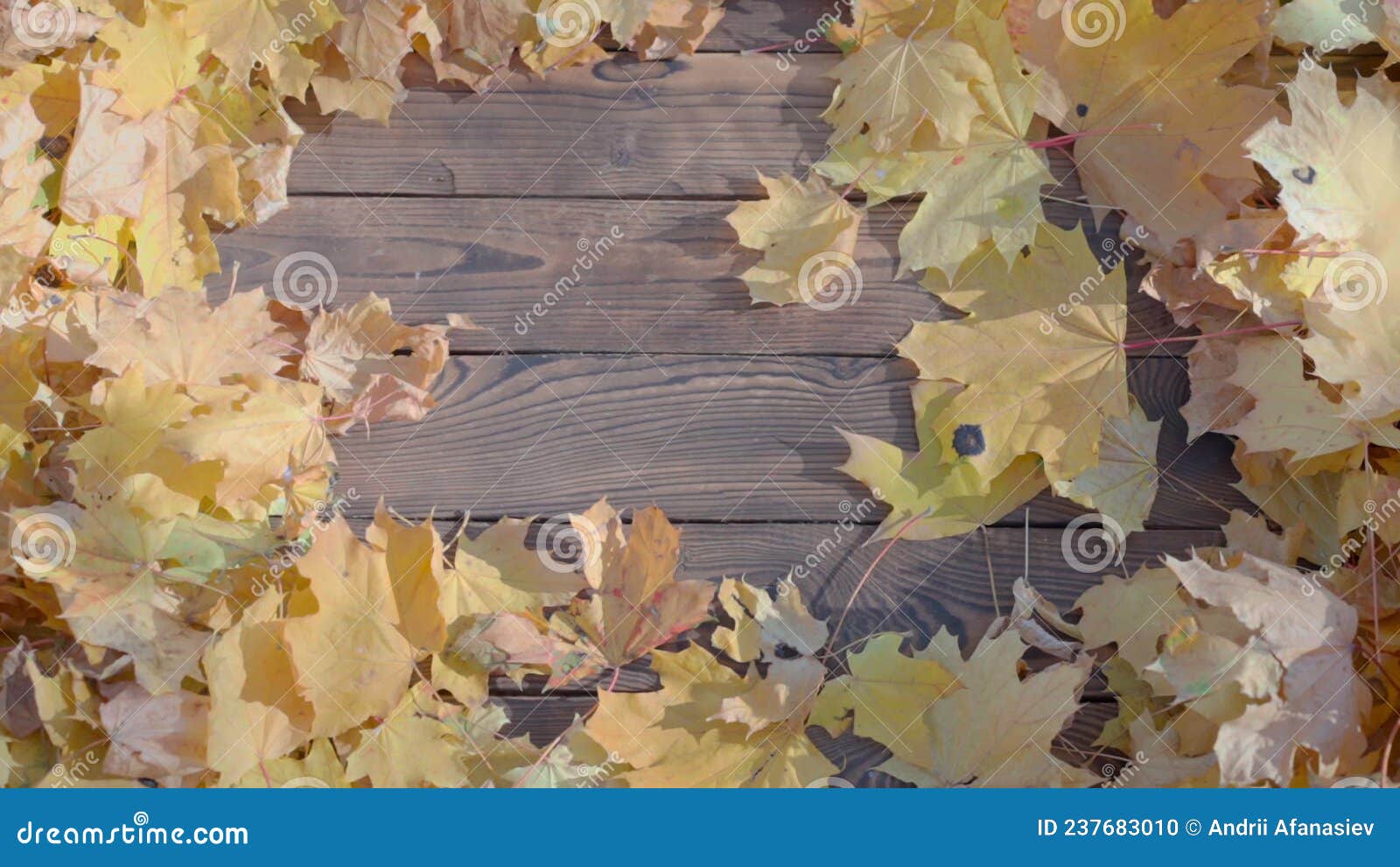 Rustic Fall Background Autumn Leaves Over Rustic Background of Barn ...