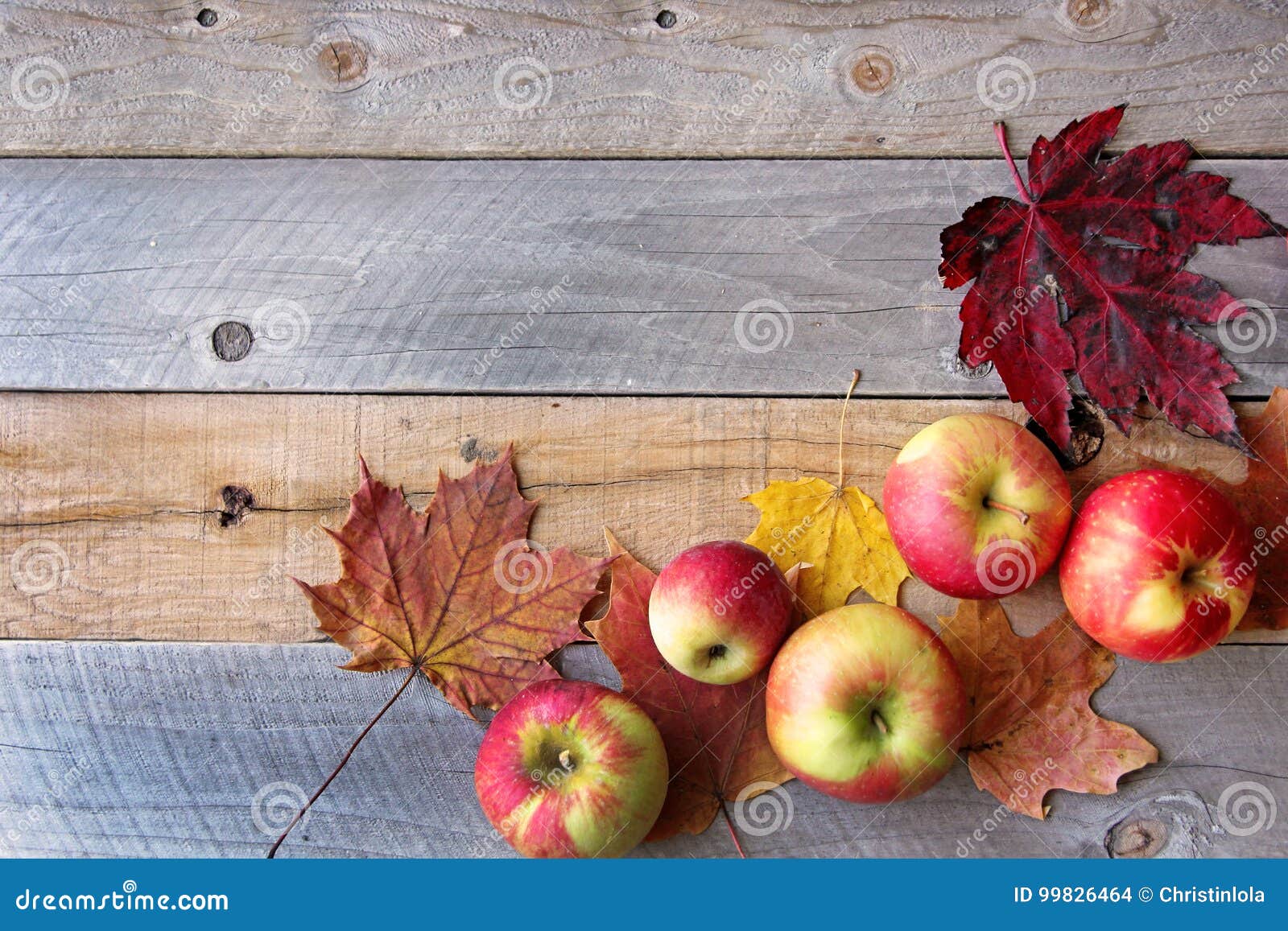 Rustic Fall Decor of Maple Leaves and Apples Frame a Weathered W Stock ...