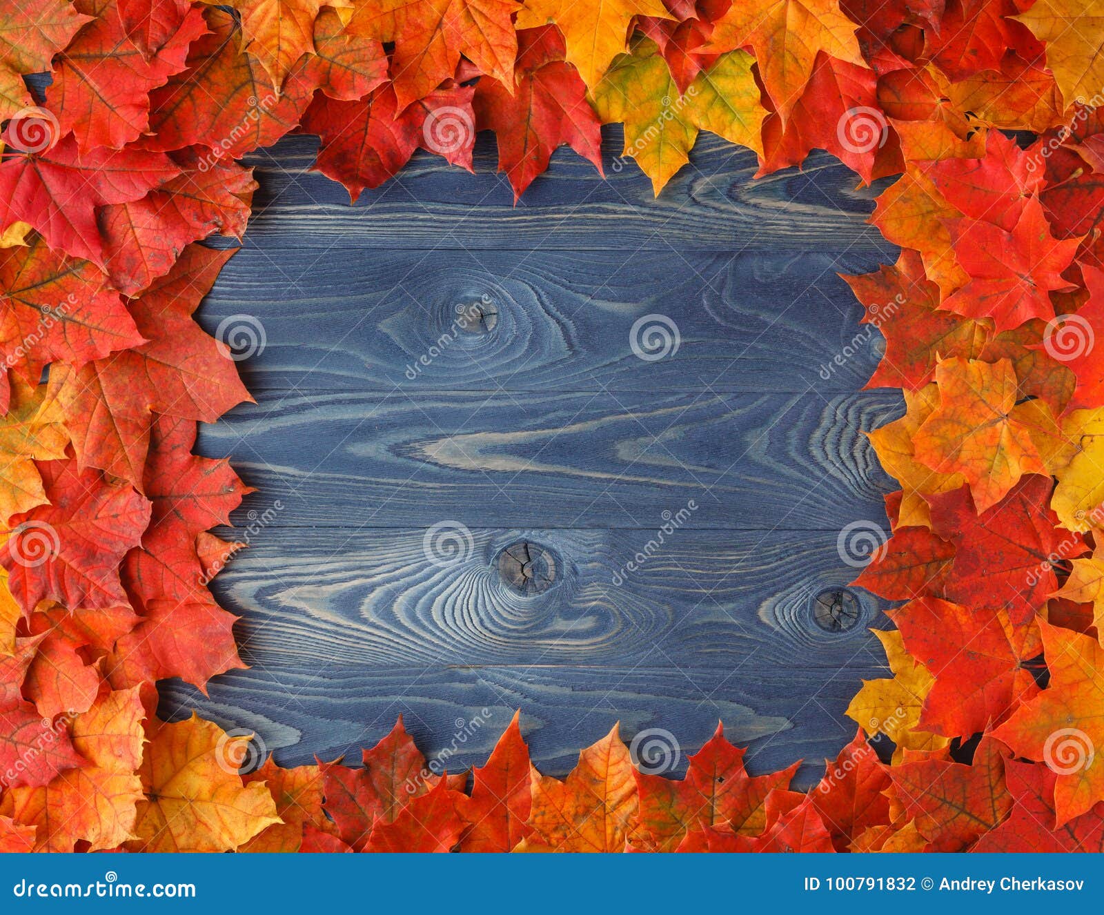 Rustic Fall Decoration Display of Maple Leaves Frame Stock Photo ...