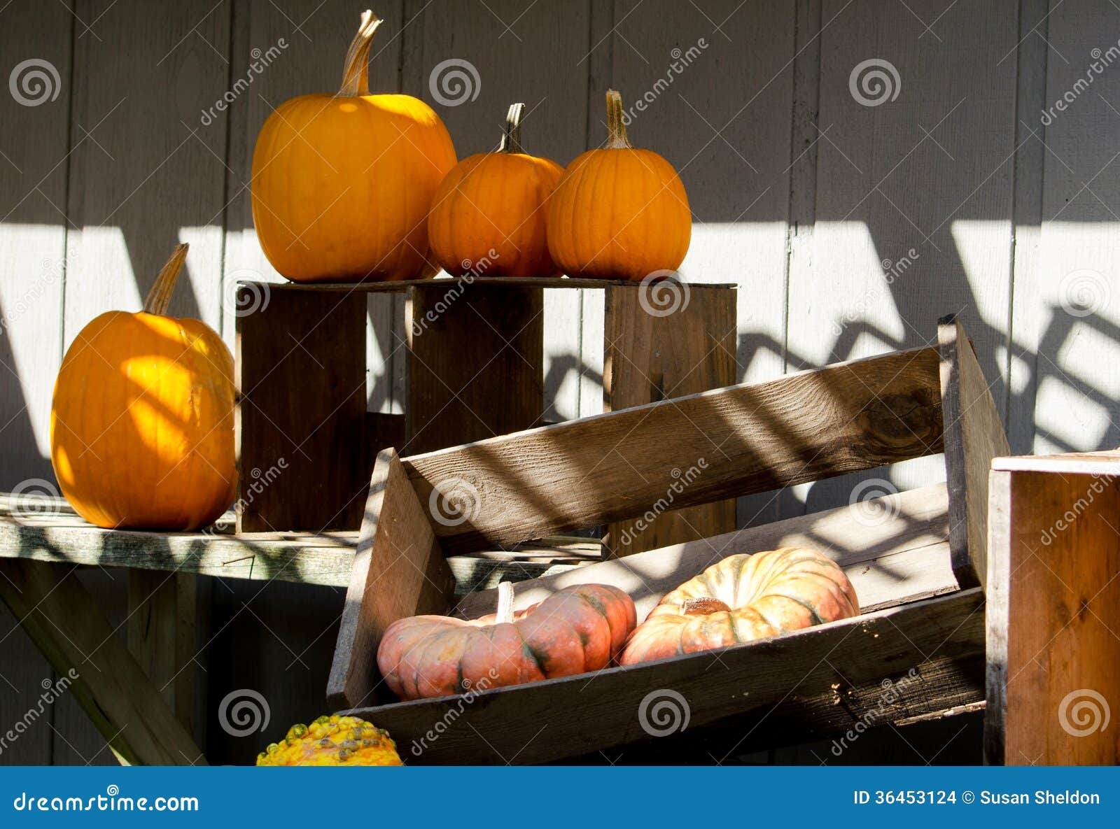 Rustic Fall Gourds and Pumpkin Display Stock Photo - Image of pattern ...