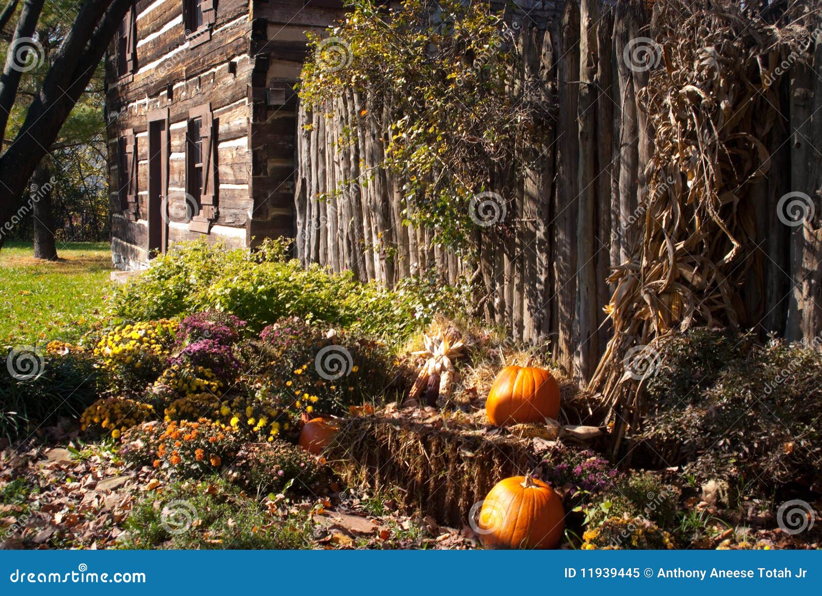 Rustic Fall Setting Royalty Free Stock Photo - Image: 11939445
