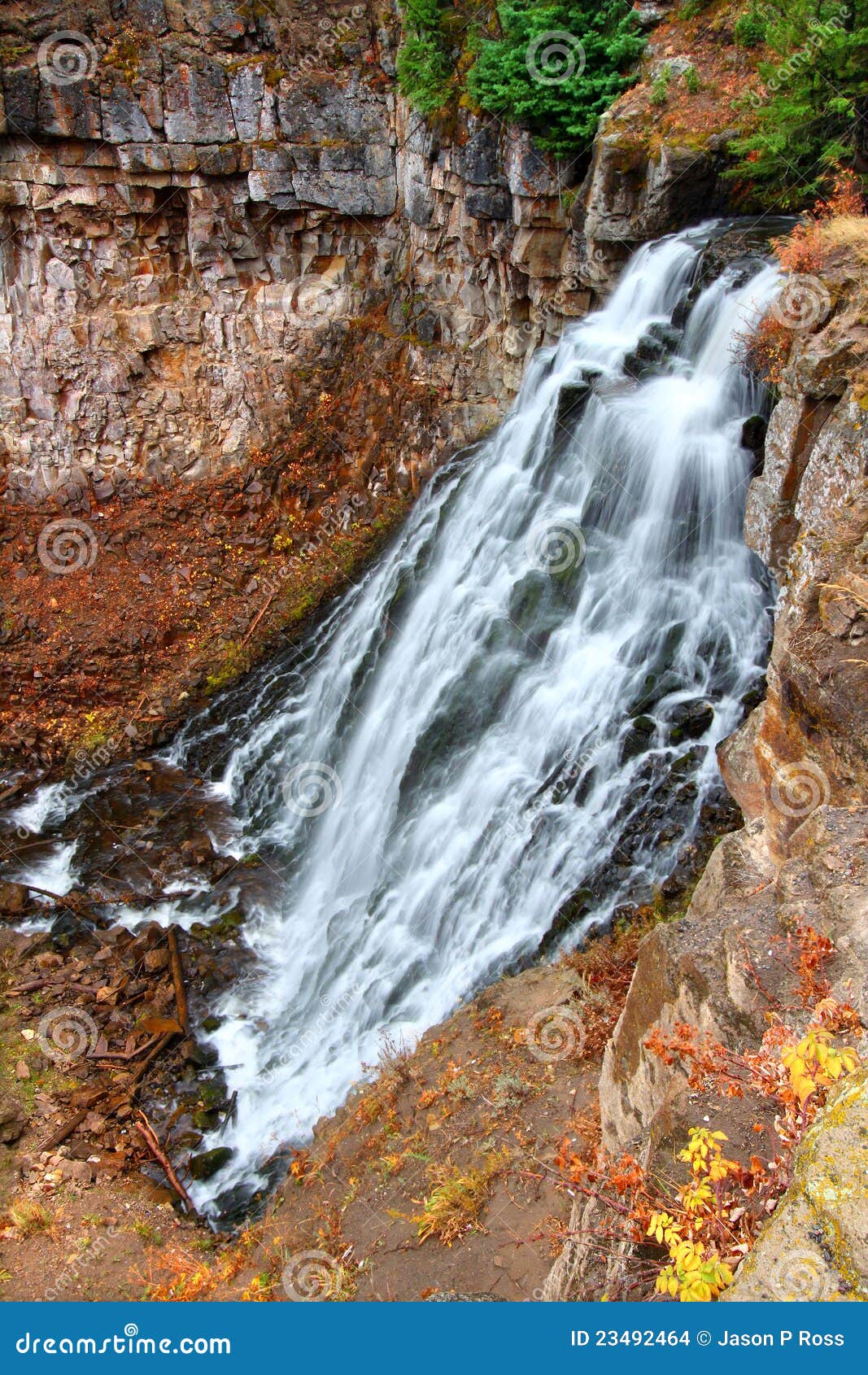 Rustic Falls Yellowstone stock photo. Image of canyon - 23492464