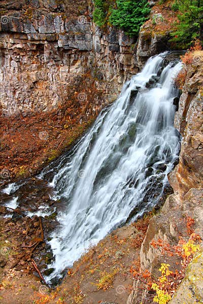 Rustic Falls Yellowstone stock photo. Image of canyon - 23492464