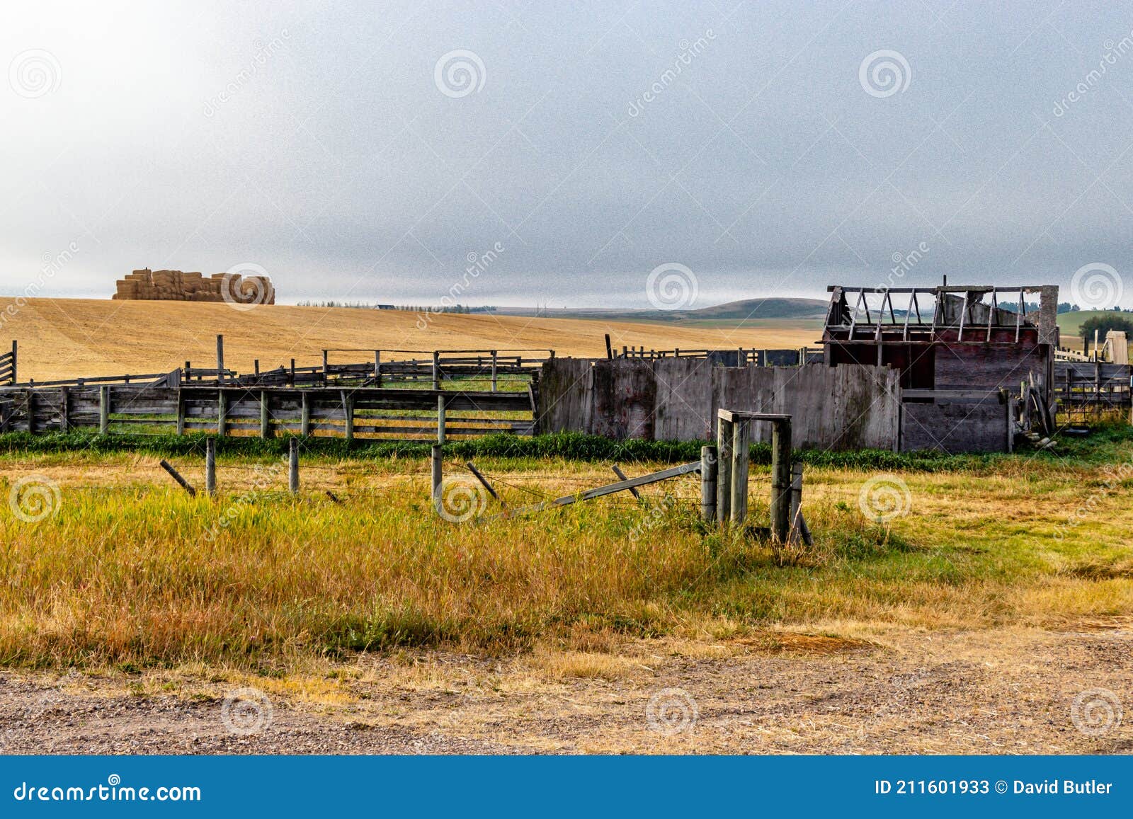 Rustic Farm Buildings in a Field. Rockyview County, Alberta, Canada ...