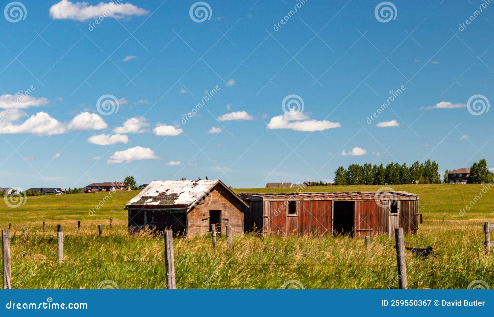 Rustic Farm Buildings in a Field. Rockyview County, Alberta, Canada ...