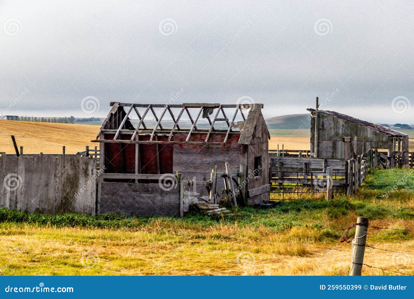 Rustic Farm Buildings in a Field. Rockyview County, Alberta, Canada ...