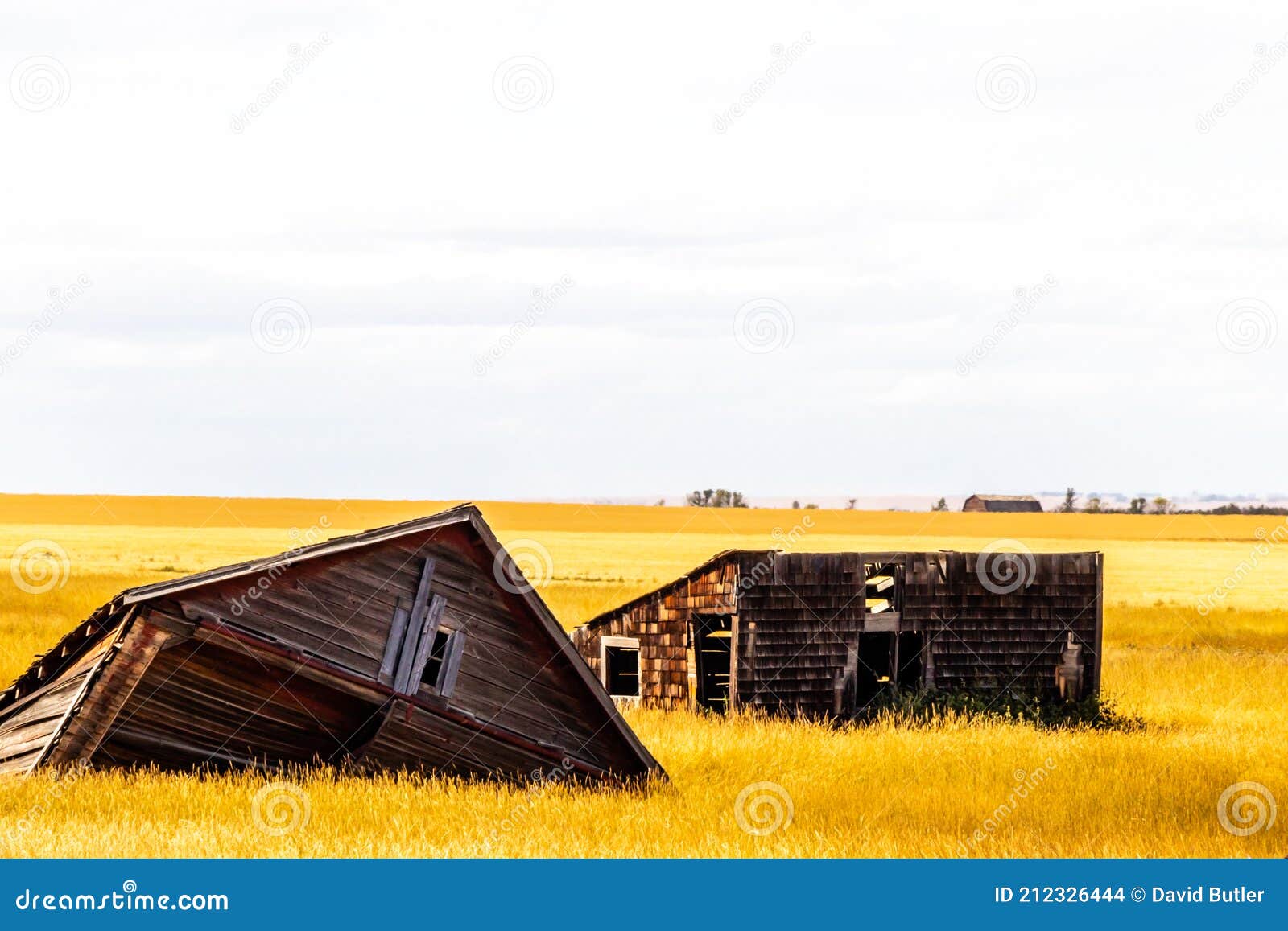Rustic Farm Buildings on the Prairies. Vulcan County, Alberta, Canada ...