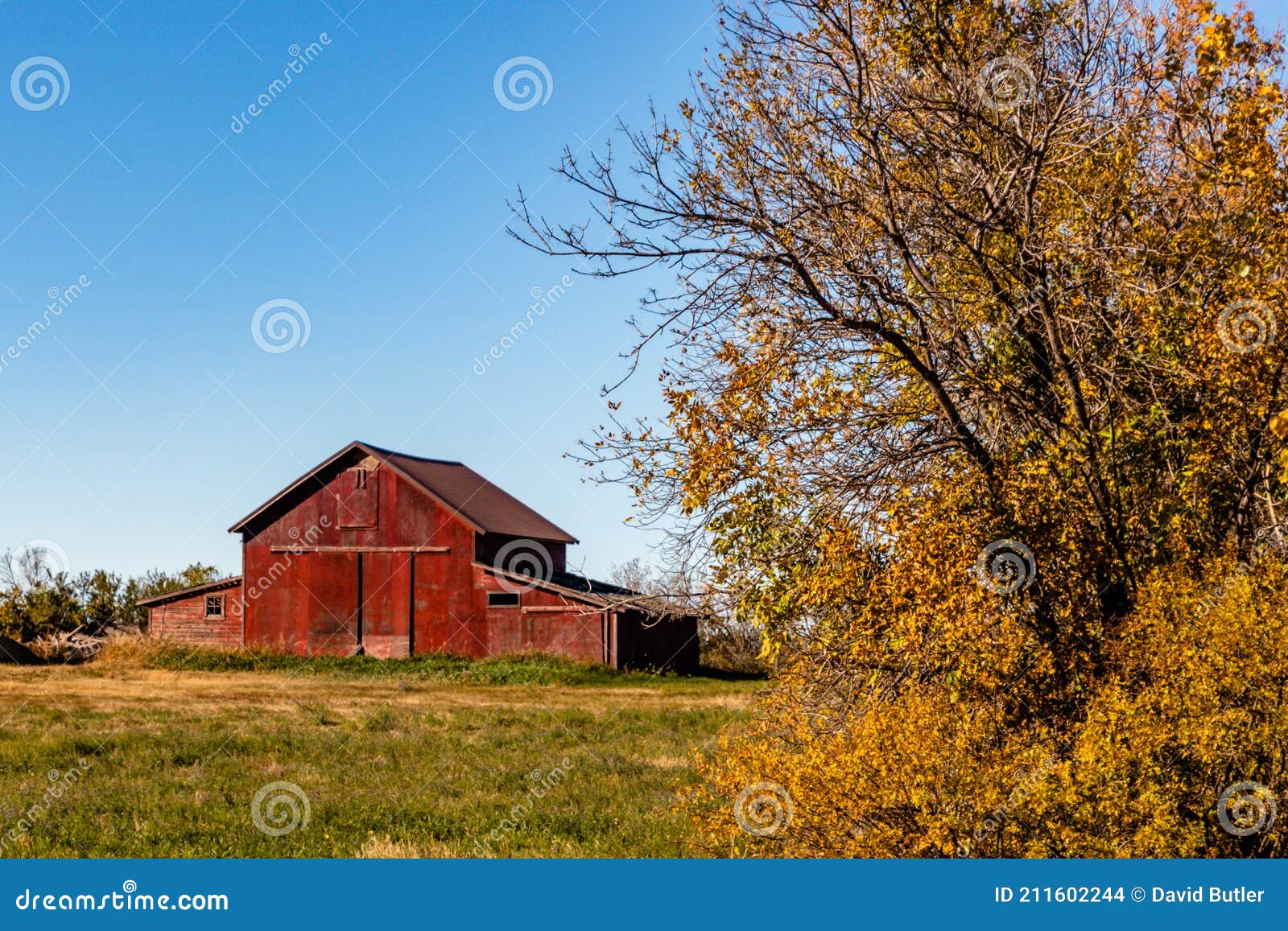 Rustic Farm Buildings. Starland County, Alberta, Canada Stock Photo ...