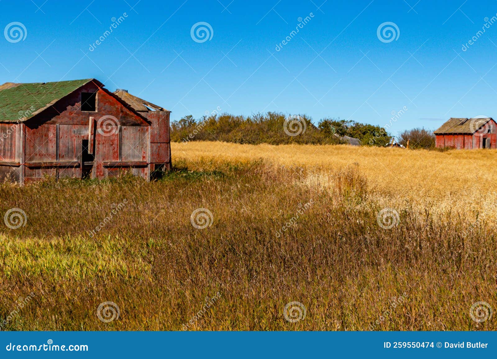Rustic Farm Buildings. Starland County, Alberta, Canada Stock Photo ...