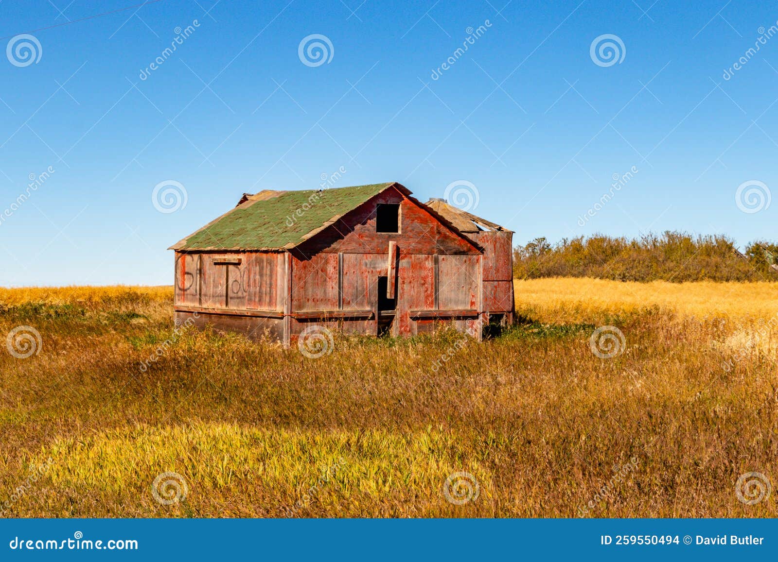 Rustic Farm Buildings. Starland County, Alberta, Canada Stock Photo ...