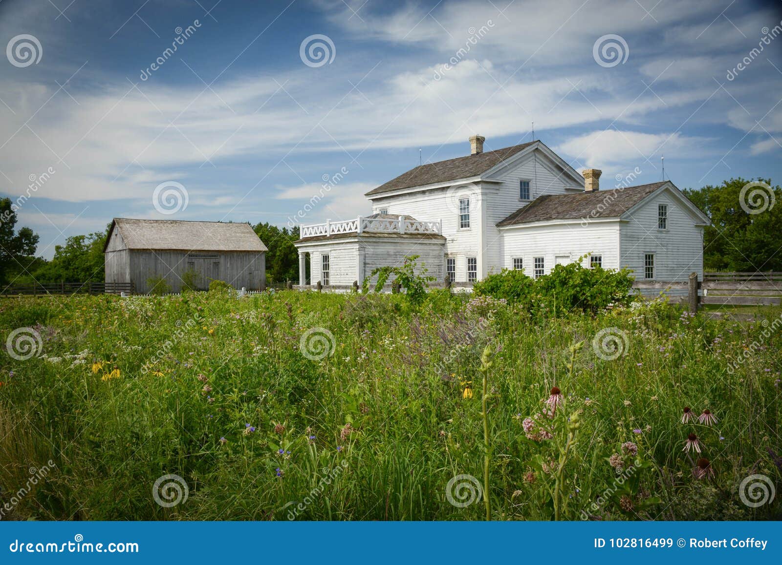 Farm House stock image. Image of rustic, trees, shrubs - 102816499