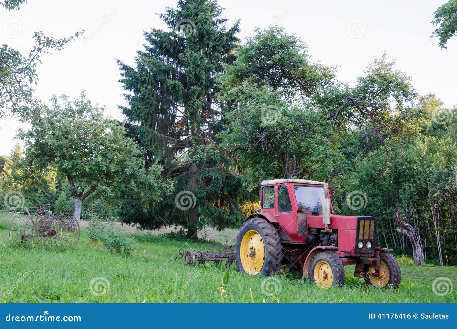 Rustic Farm Tractor in Summer Garden Stock Photo - Image of green ...