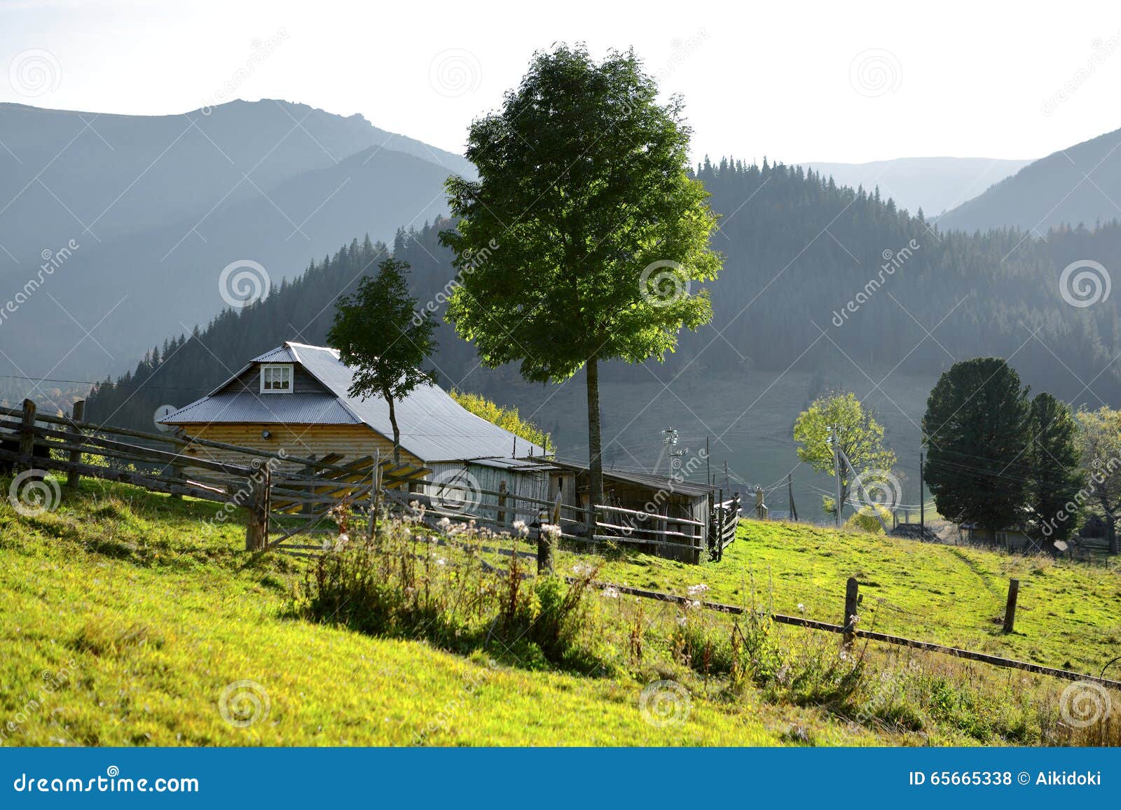 Rustic Farmstead in the Mountains Stock Photo - Image of trees, alps ...