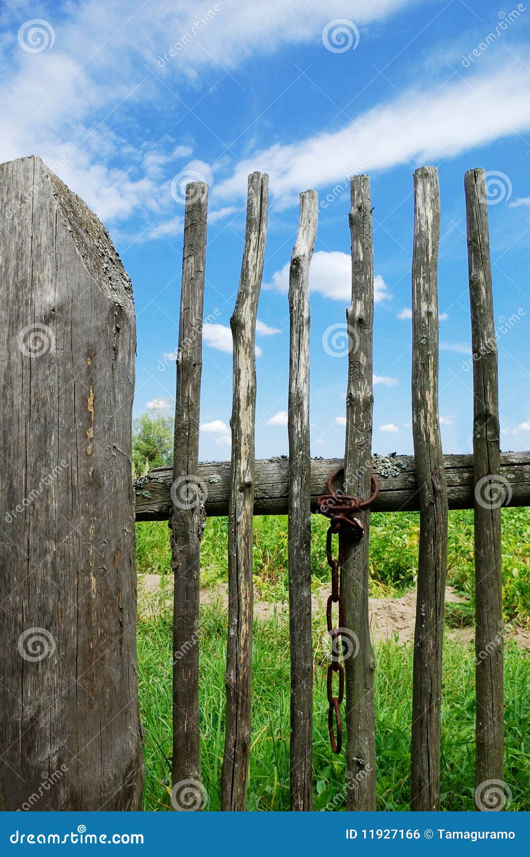Rustic fence stock photo. Image of real, scene, wood - 11927166