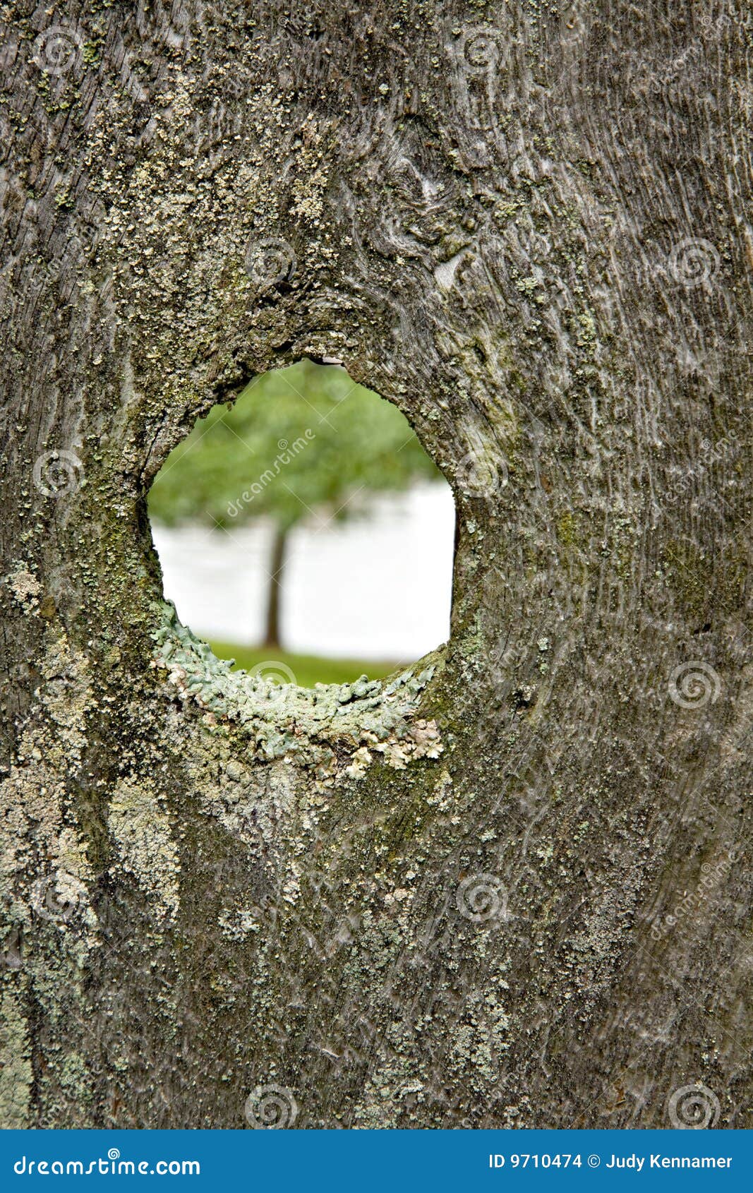 Rustic Fence with Knothole stock photo. Image of grunge - 9710474