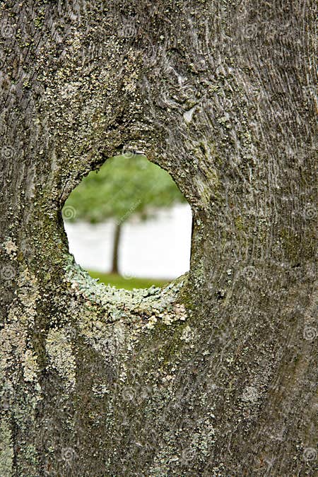 Rustic Fence with Knothole stock photo. Image of grunge - 9710474