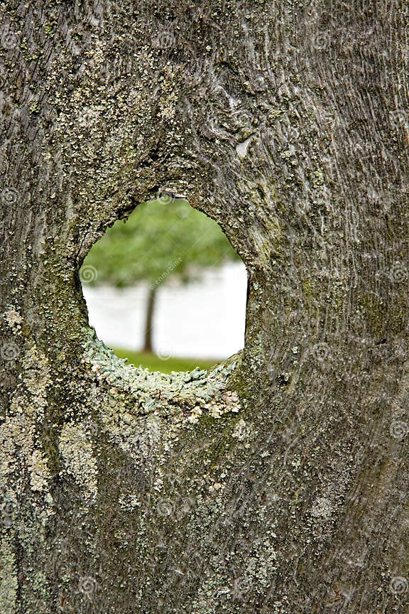 Rustic Fence with Knothole stock photo. Image of grunge - 9710474