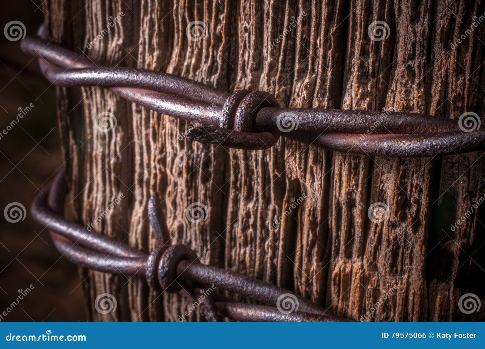 Rustic Fence Post with Barbed Wire Stock Photo - Image of grasslands ...