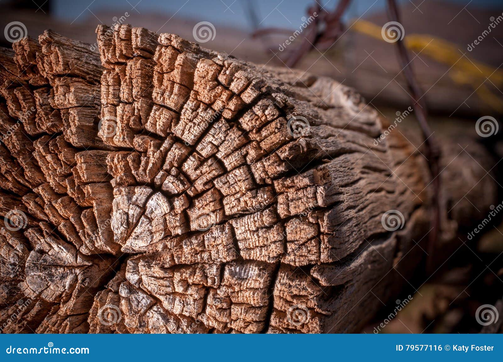 Rustic Fence Post with Barbed Wire Stock Photo - Image of outside ...