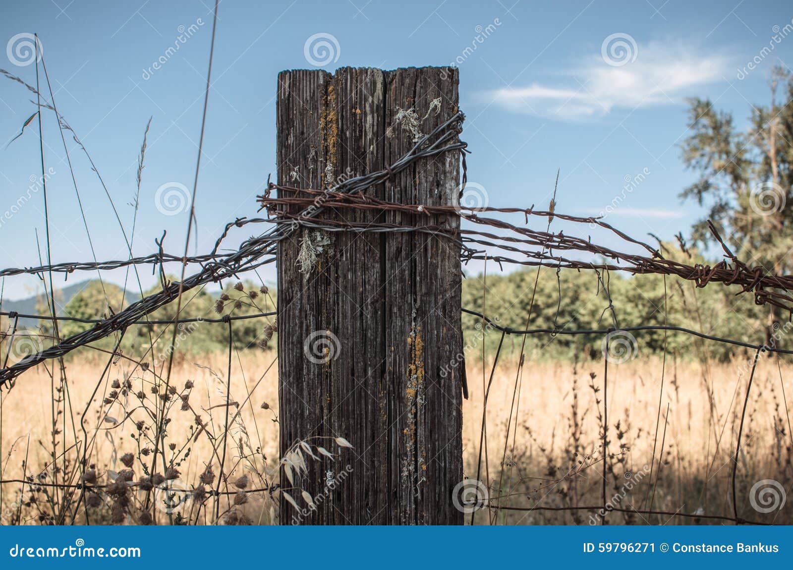 Rustic Fence Post stock image. Image of rustic, sunny - 59796271